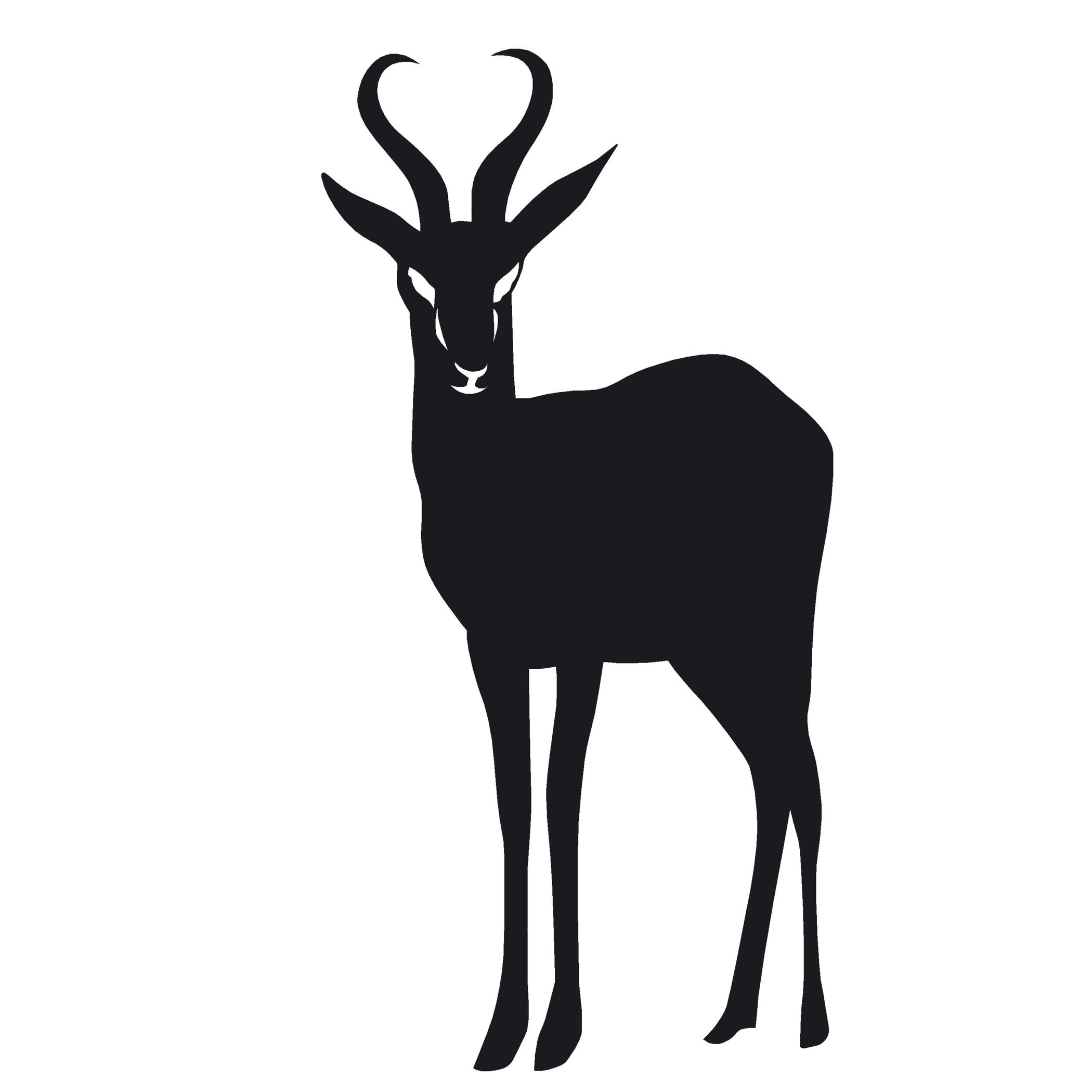 Springbok Decal – Springbok Sticker for Safari Vehicles – 1234 ...