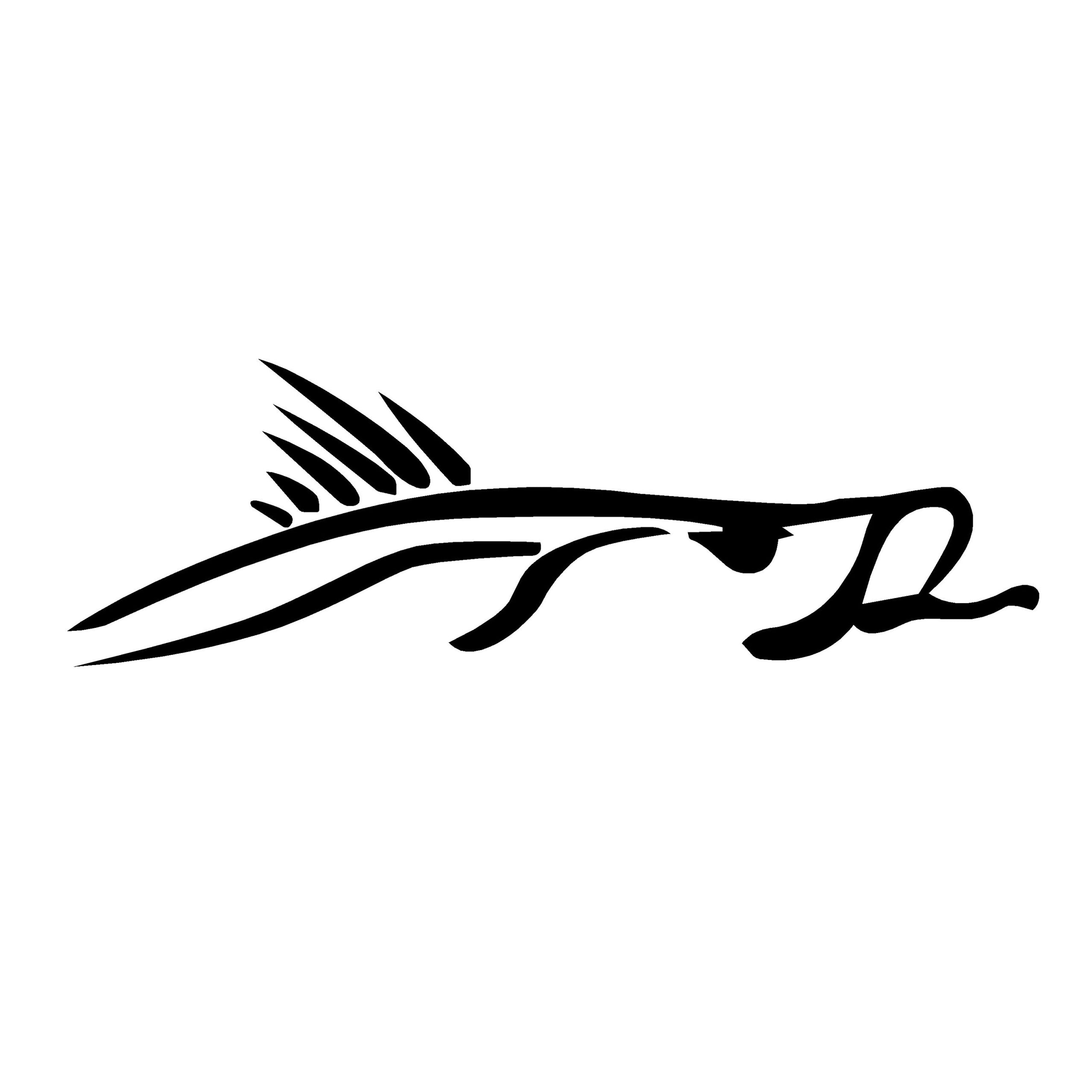 Snook Trout Sticker - Snook Decal for Fishing Enthusiasts - 1250 ...
