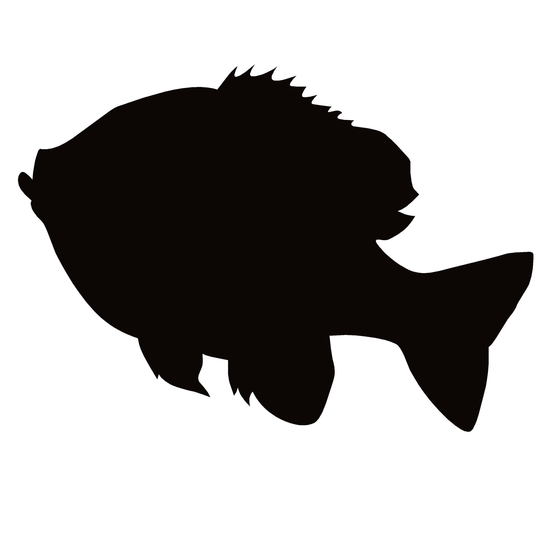Pan Fish Fishing Decal - Unique Fishing Sticker for Enthusiasts - 1273 ...