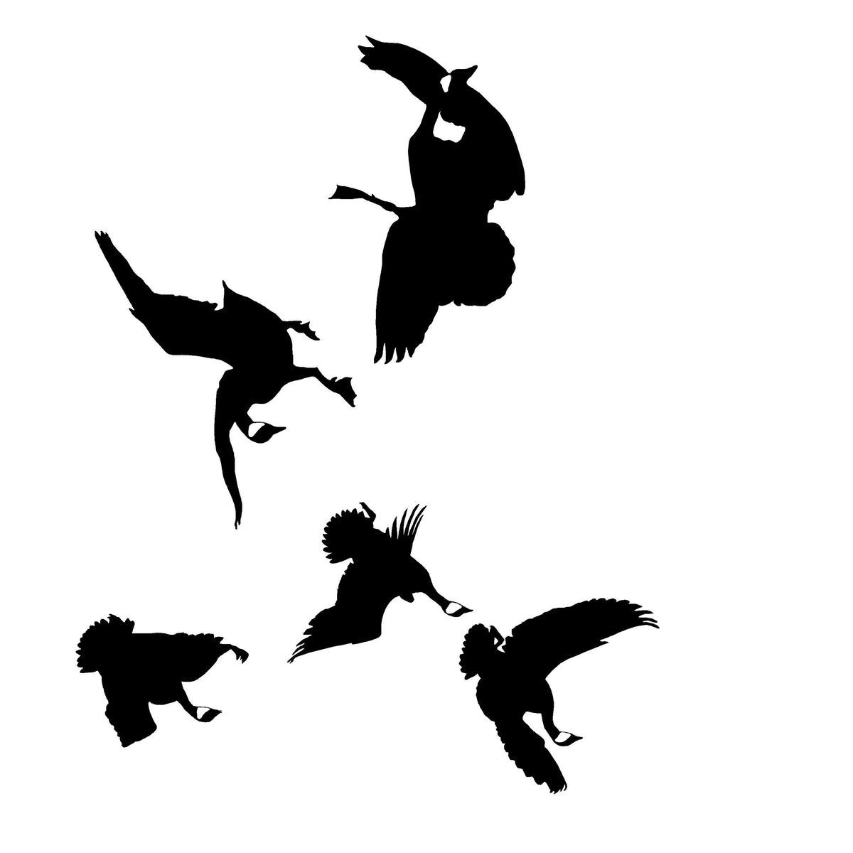 Geese Hunting Decal - Geese Getting Shot At Sticker for Hunters 2034 ...
