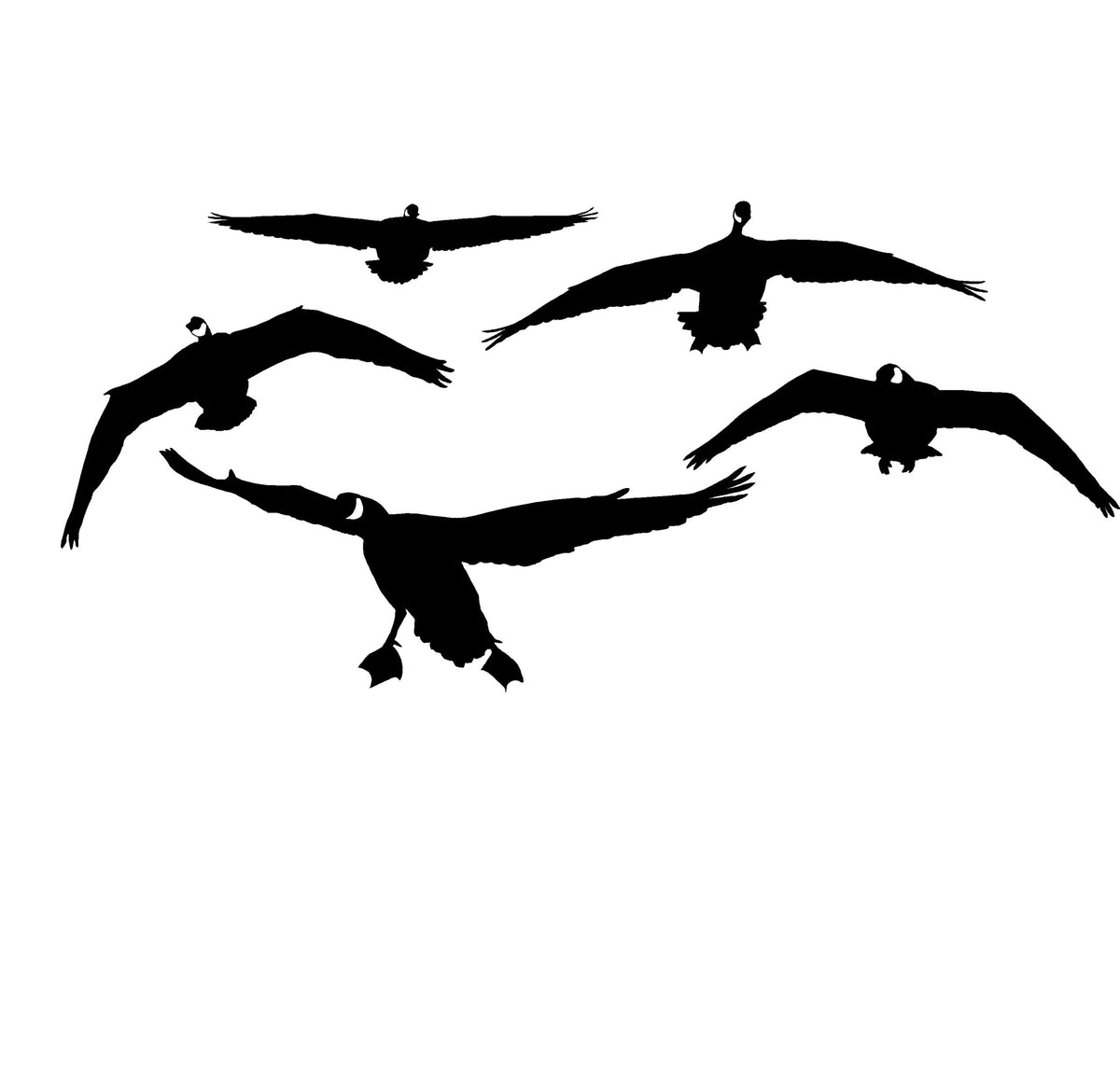 Canada Geese Hunting Decal - Front Hunting Sticker for Geese 2035 ...
