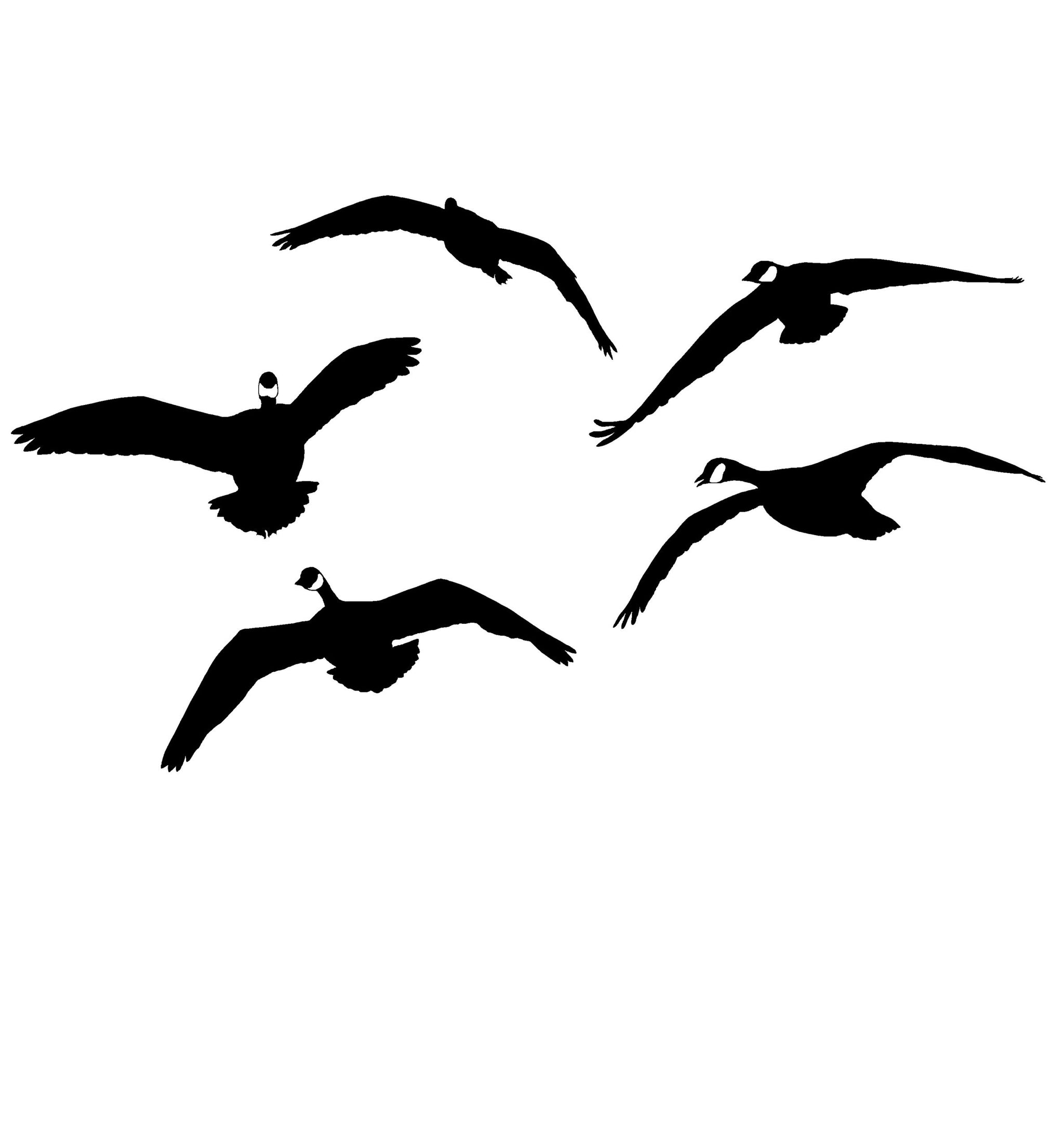 Duck Hunting Decals | Waterproof Outdoor Stickers –WaterfowlDecals.com ...
