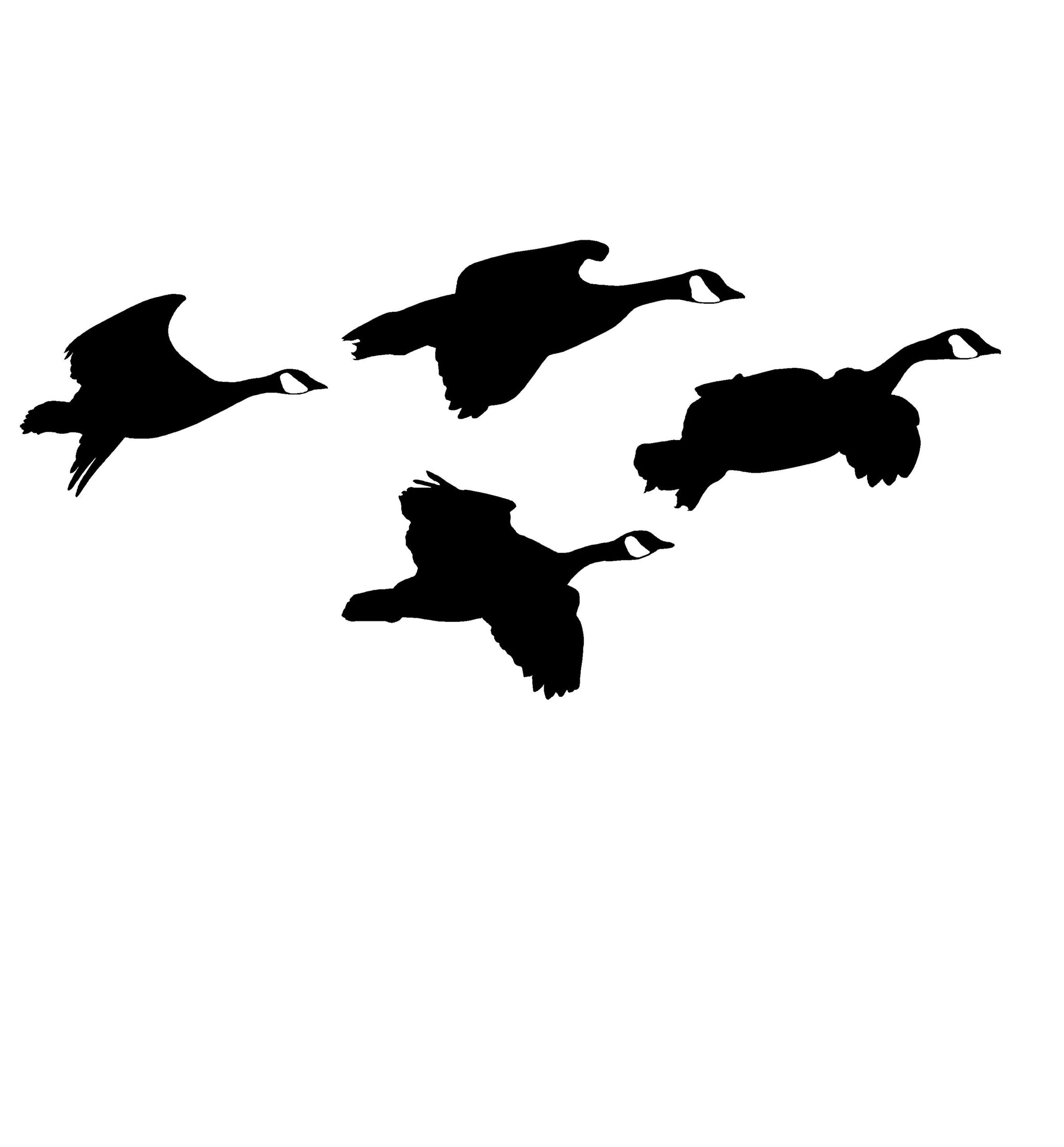 Duck Hunting Decals | Waterproof Outdoor Stickers –WaterfowlDecals.com ...
