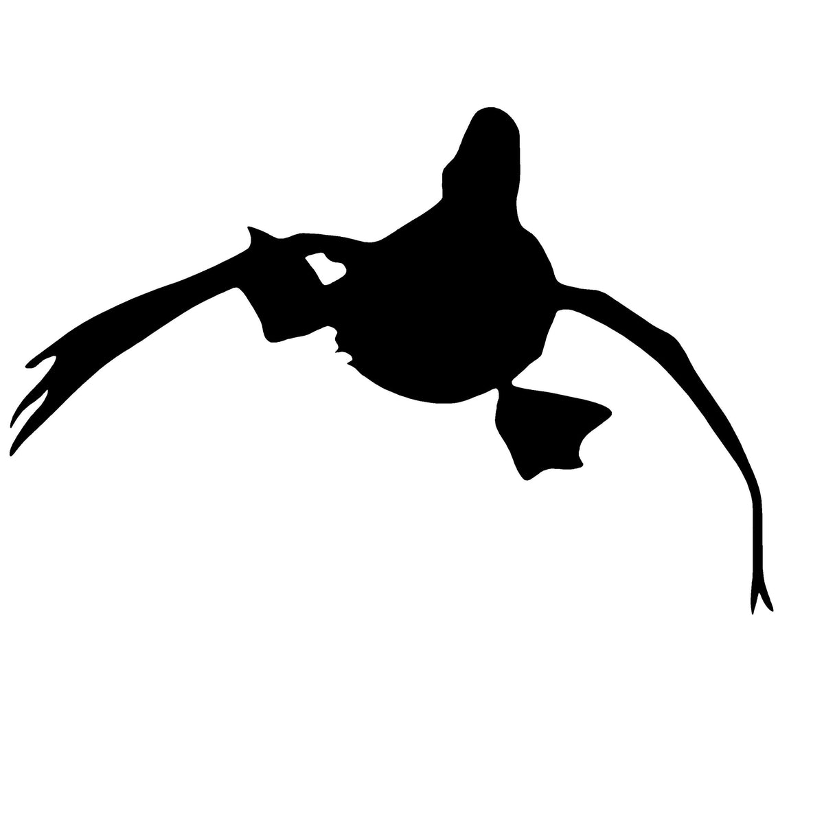 Ducks Comin' In Duck Hunting Sticker - Perfect Decal for Hunters ...