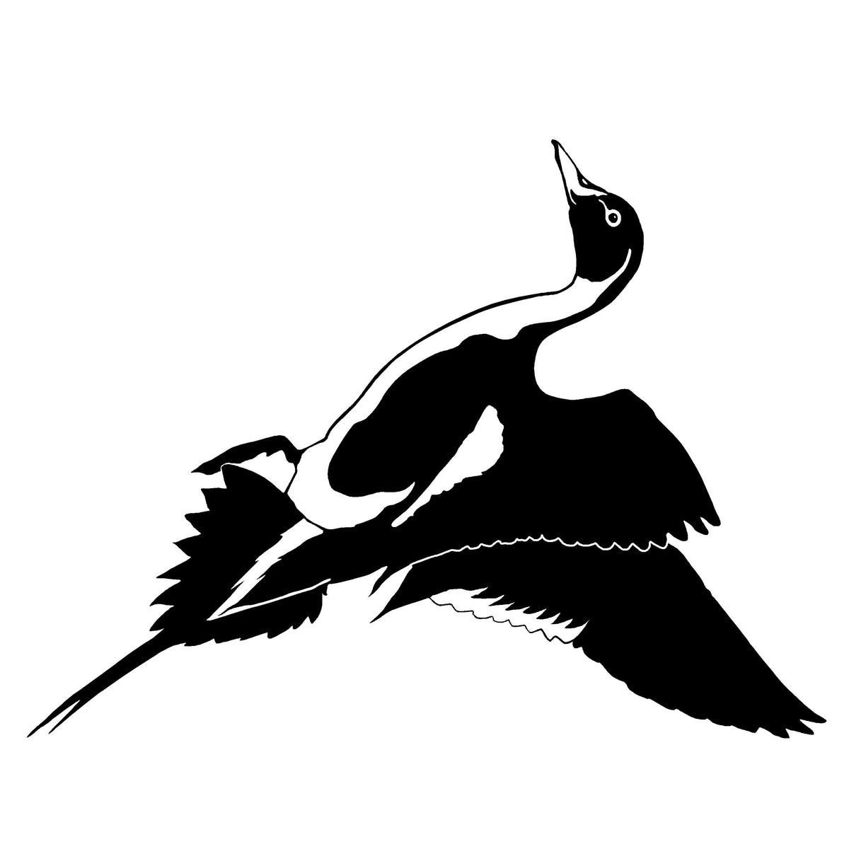Pintail Drake Duck Decal - Pintail Drake Duck Hunting Decal & Sticker ...