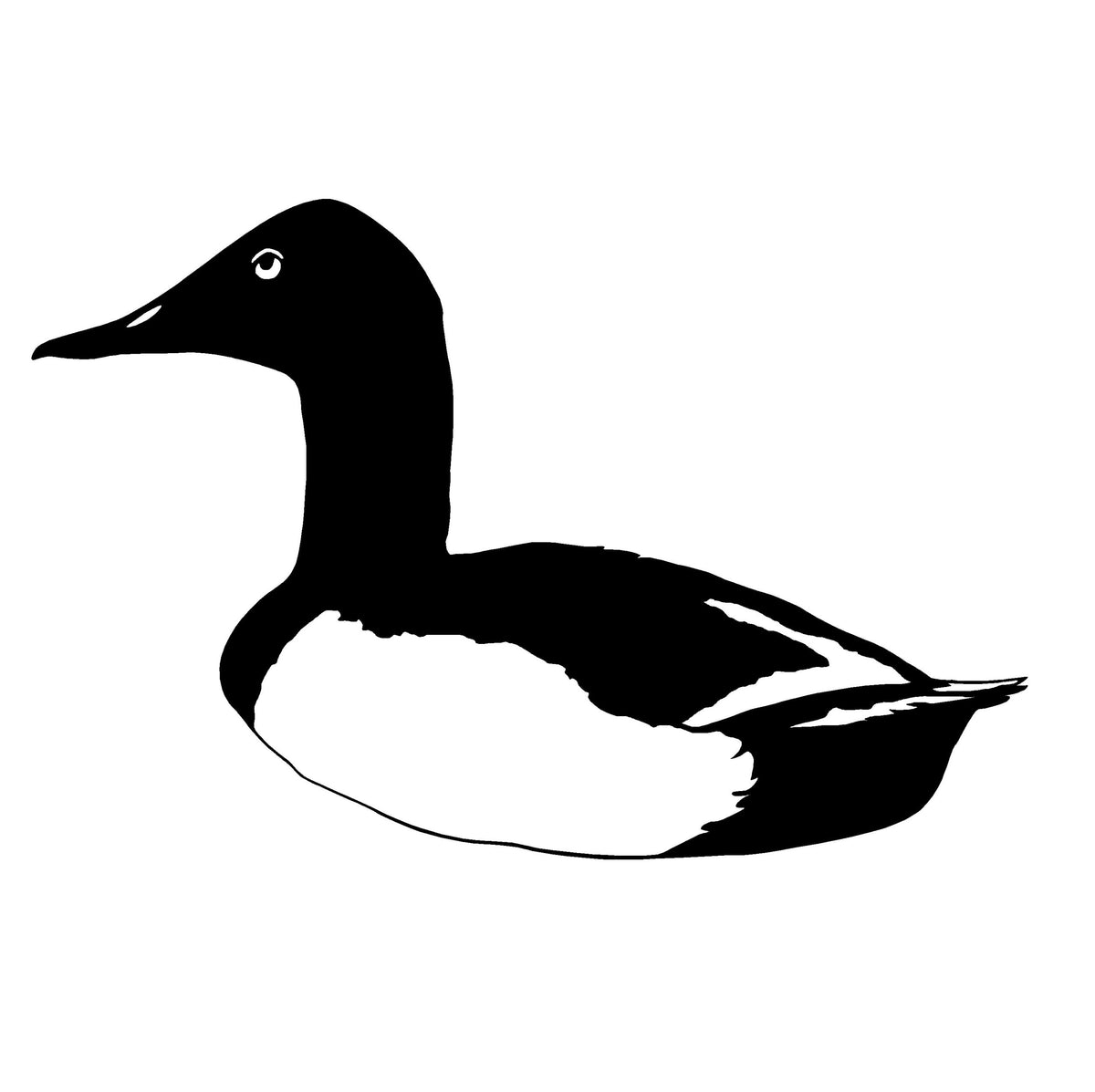 Canvasback Sitting on Water Hunting Decal Duck Hunting Decal - 5037 ...