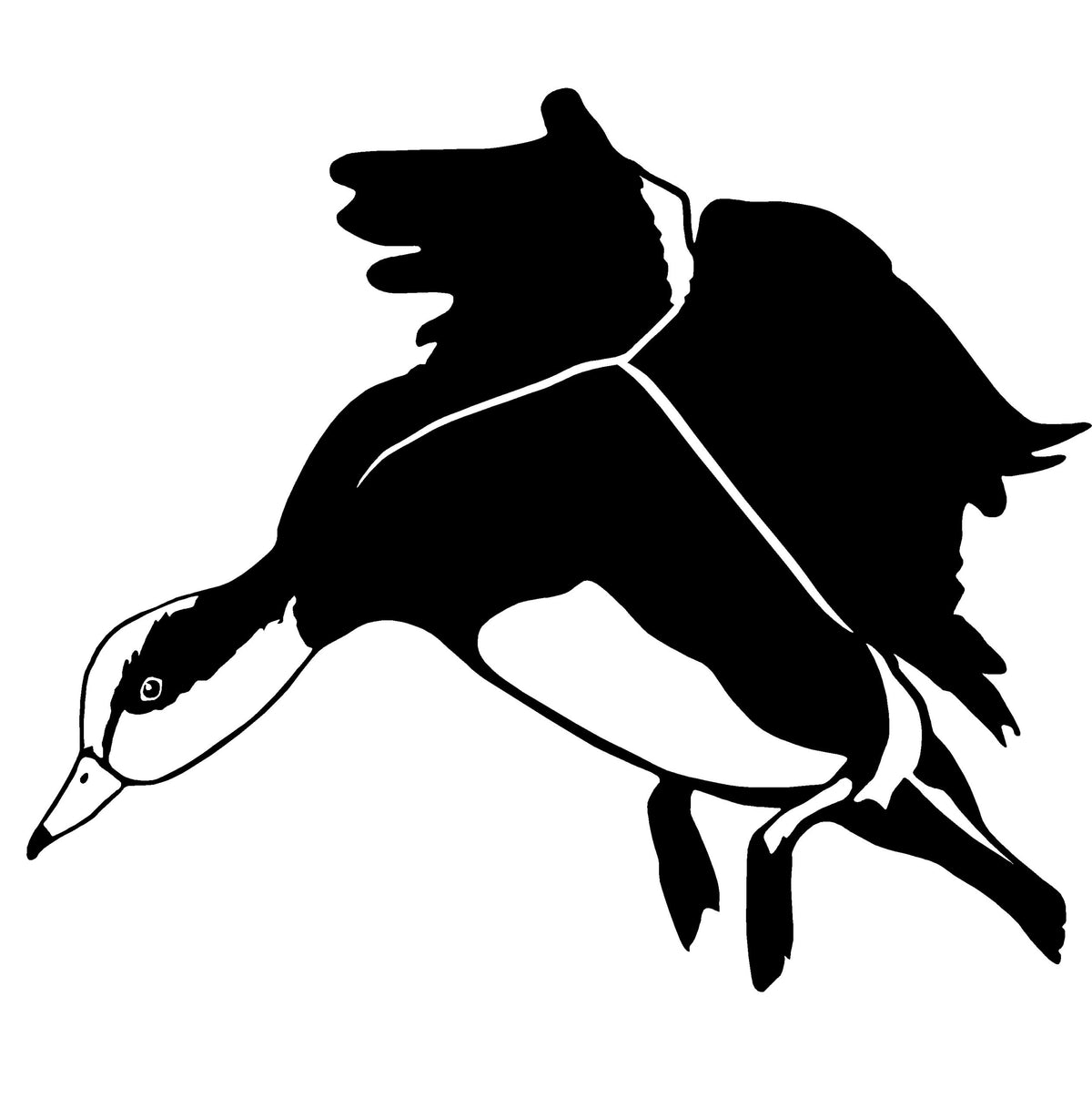 Landing Wigeon Duck Hunting Decal - Wigeon Duck Hunting Sticker 5040 ...