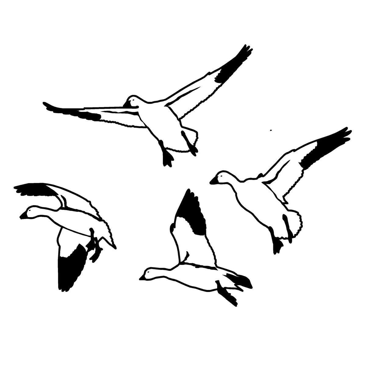 Snow Goose Hunting Decal - Snow Goose Snow Geese 6006 for Hunters ...