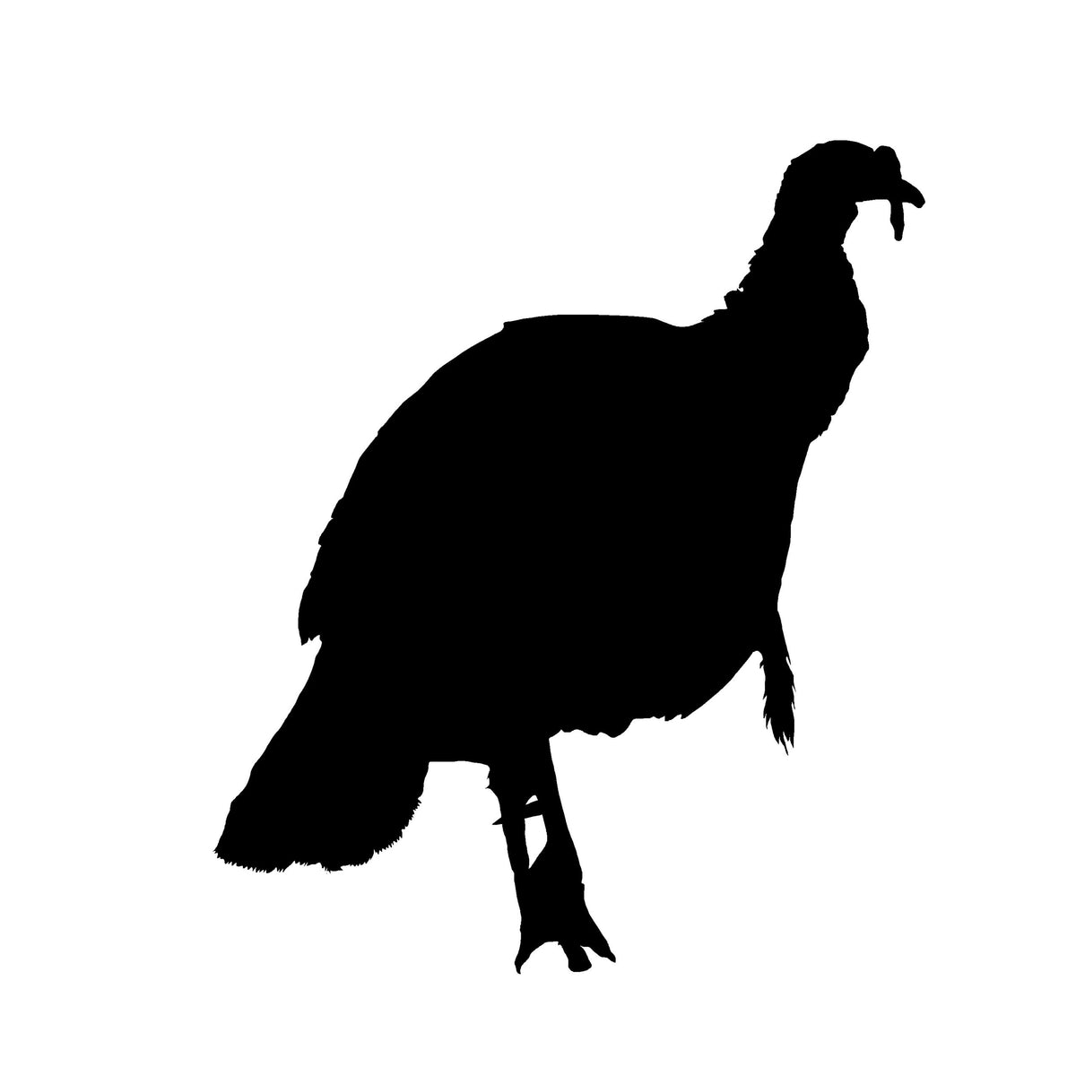 Tom Turkey Hunting Decal - Beard Hunting Sticker for Turkey Tom 7011 ...