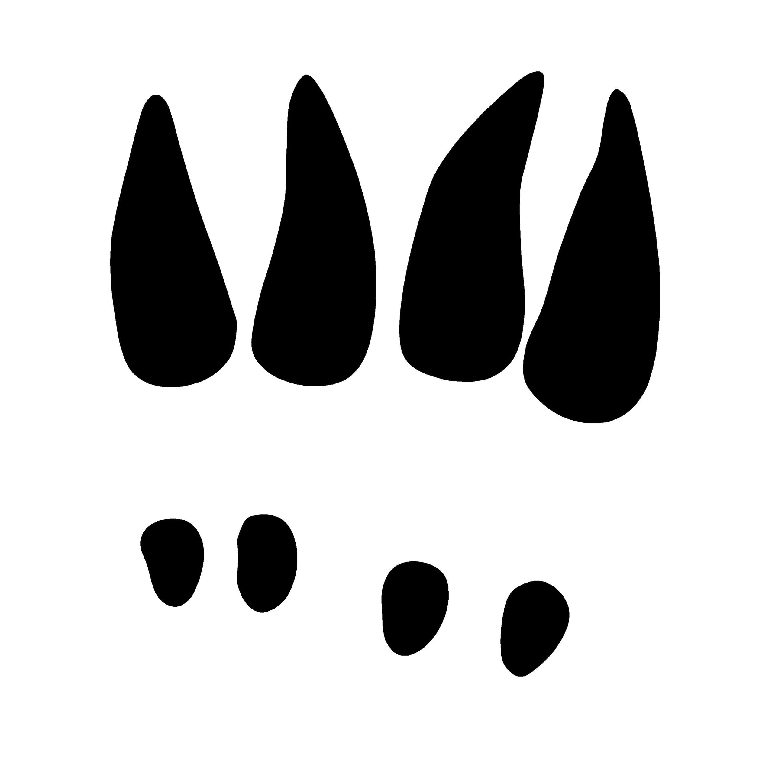 Deer Tracks Decal – Realistic Whitetail Truck Window Stickers - 7013 ...