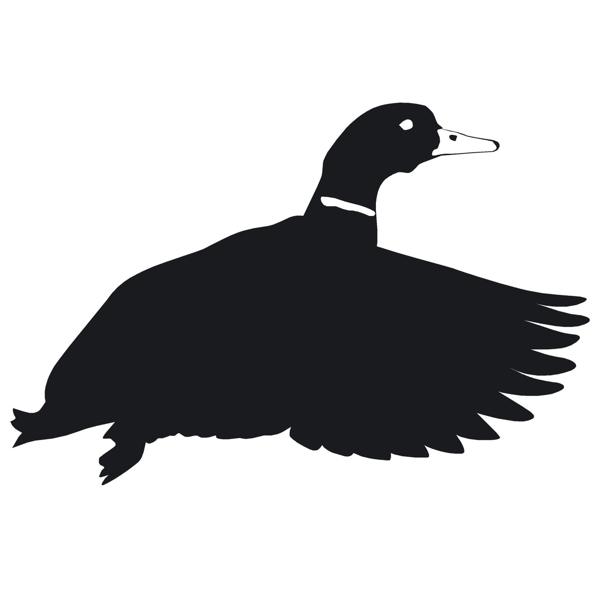 Duck Hunting Decal - Duck Taking Off! Hunting Sticker - 7034 ...
