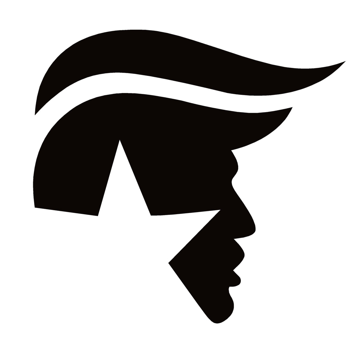 Trump Decal - Donald Trump Face Decal with Iconic Hair Logo – 7536 ...
