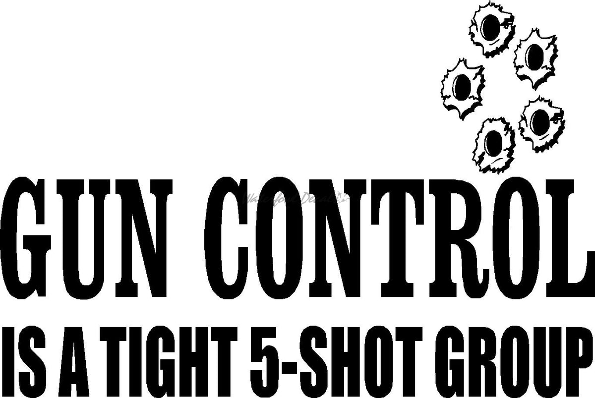 Gun Control Target Shooting - Tight 5-Shot Group 2nd029 Precision ...